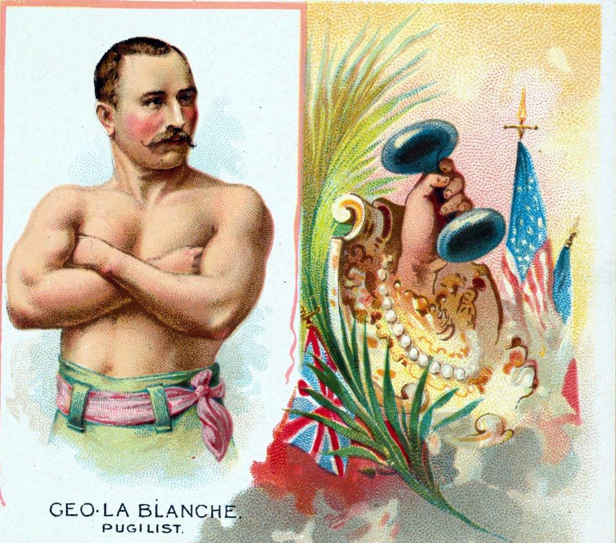 boxer gammon gloucester