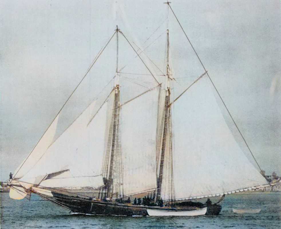 The Cost of Fish: Part Three – A Fleet Built for Profit and Peril – The ...